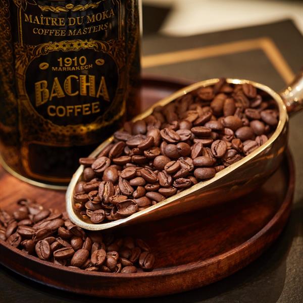 Brazil | Camocim Jacu Bird Coffee | Single Origin | Bacha Coffee