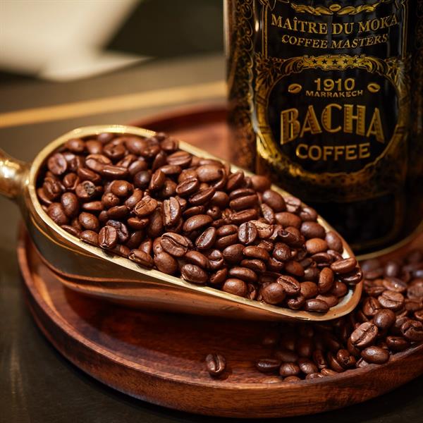 India | Monsoon Secret Coffee | Single Origin | Bacha Coffee