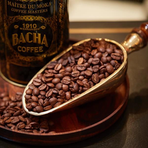 Brazil | Sao Bento Coffee | Single Origin | Bacha Coffee